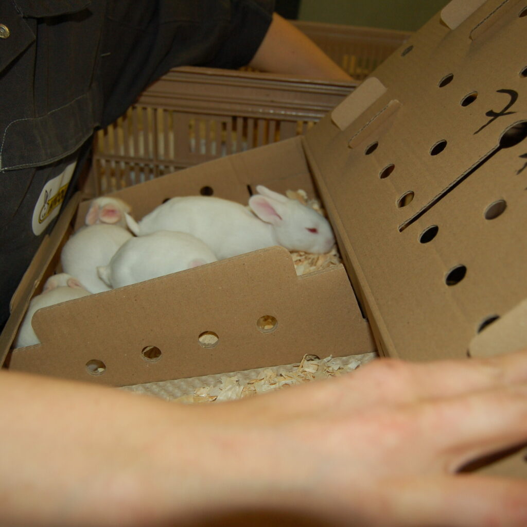 Our core business - Hycole