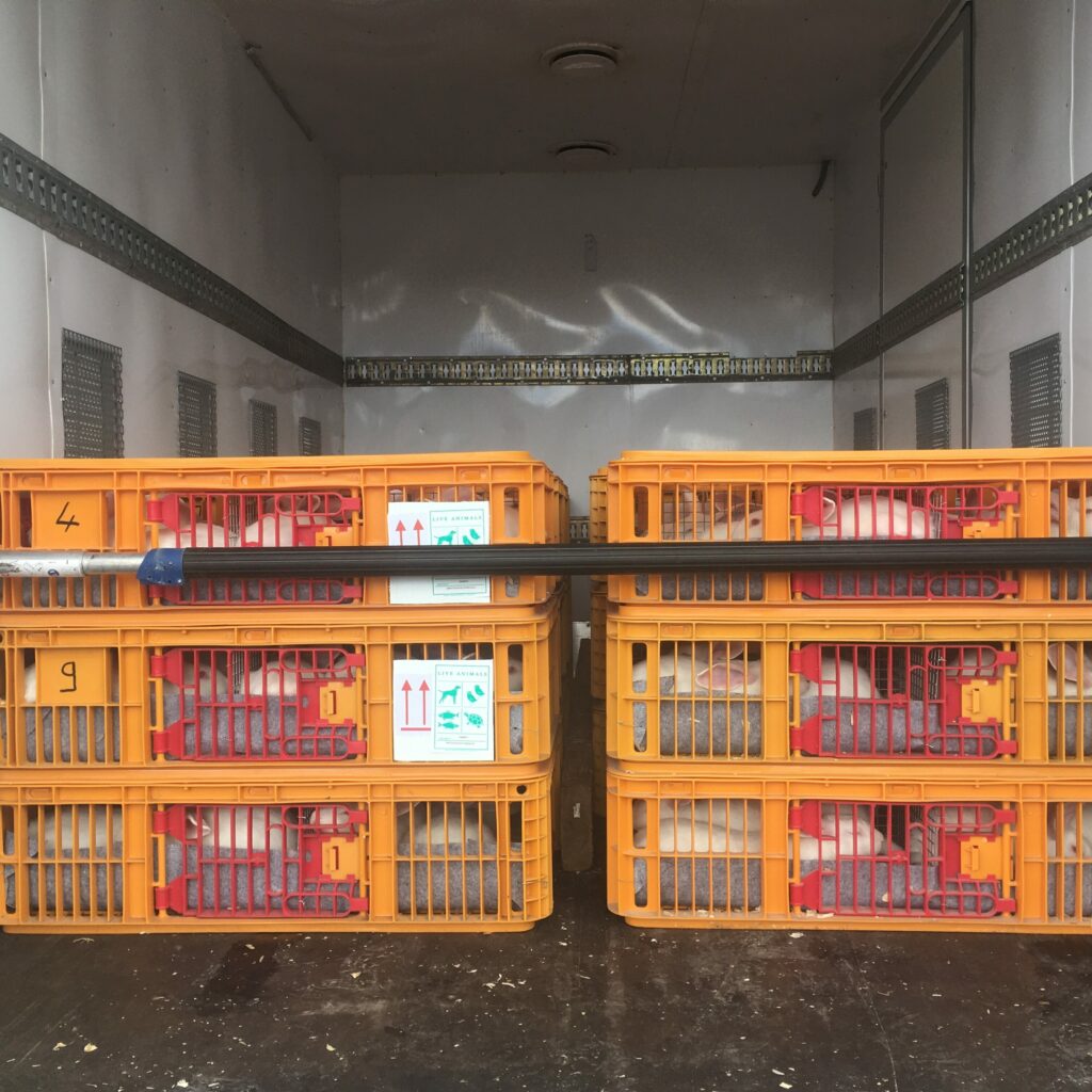 我们的核心技术 - Hycole